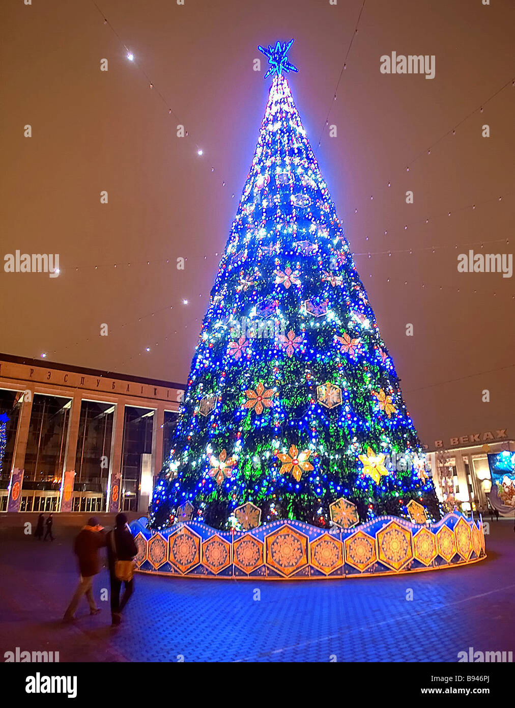 The largest Christmas tree on October Square in Minsk the capital of ...