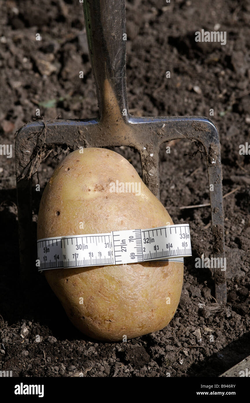 Earth Tape Measure High Resolution Stock Photography and Images - Alamy