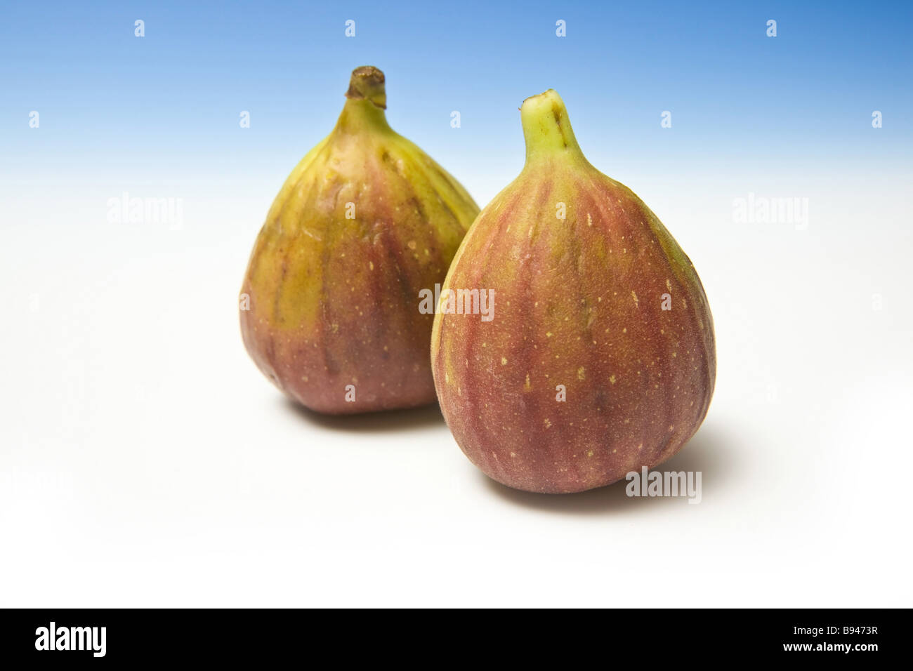 Fresh figs on a graduated blue studio background Stock Photo - Alamy