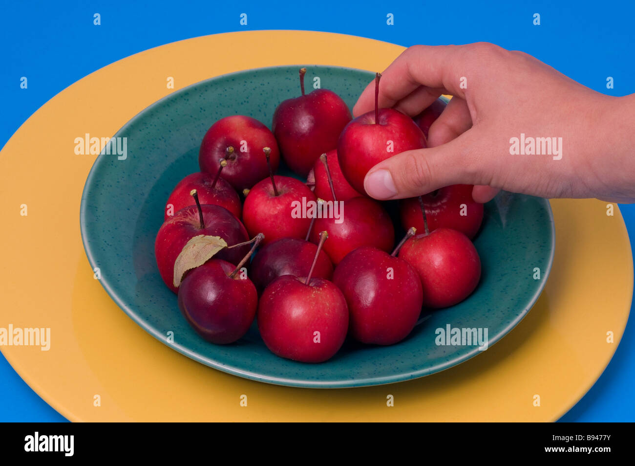 Crab apples hi-res stock photography and images - Alamy