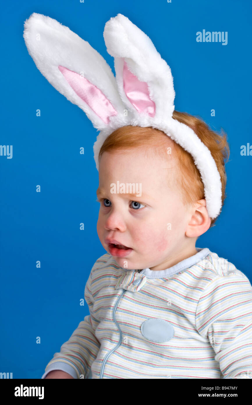 Angry rabbit hi-res stock photography and images - Alamy