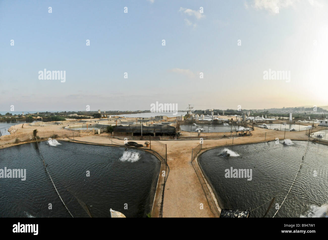 Israel Coastal Plains Kibbutz Maagan Michael Outdoor Intensive growth ...