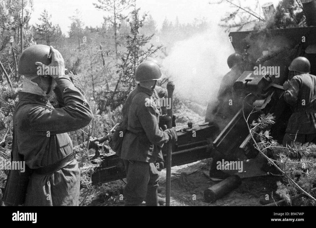Soviet artillerymen attacking Nazi positions at the Volkhov front near ...