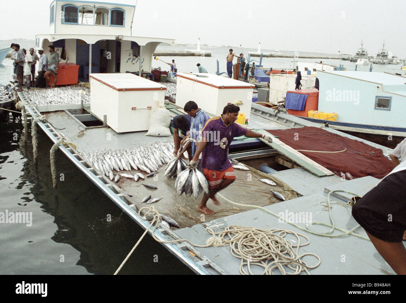 Fishermen Unloading Catch In Port High Resolution Stock Photography and ...