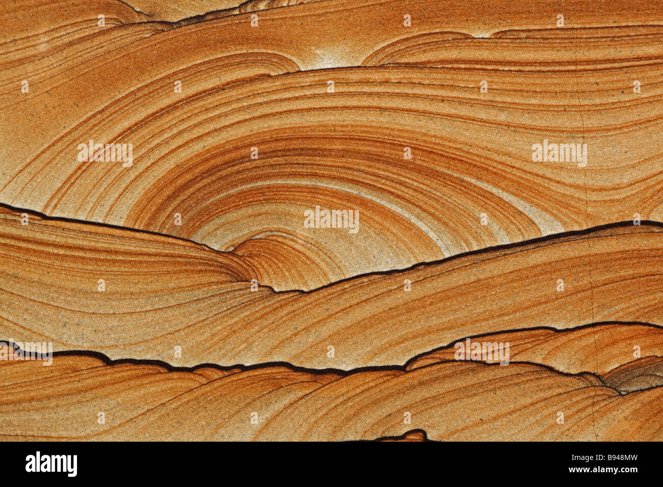 Picture Sandstone - Detail - Northern Arizona and Southern Utah ...