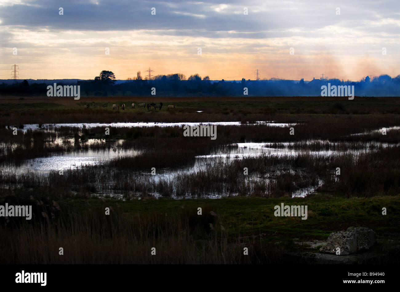 Evening light over Oare Marsh in Kent Stock Photo - Alamy