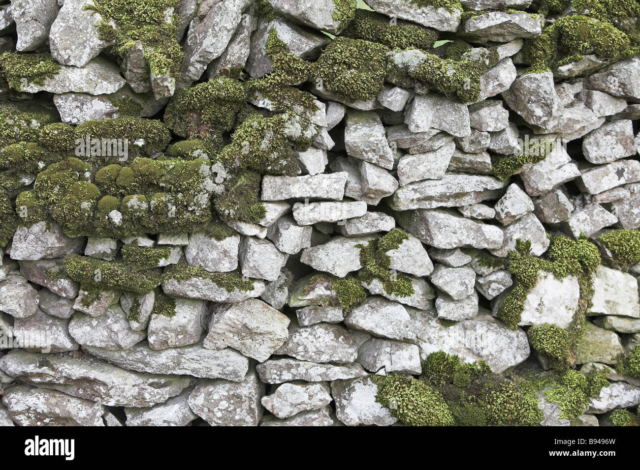 Mossy stone wall hi-res stock photography and images - Alamy