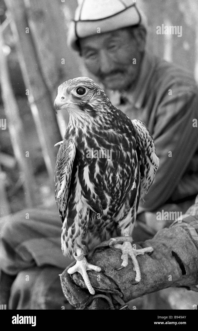 A hunter and his bird Stock Photo - Alamy