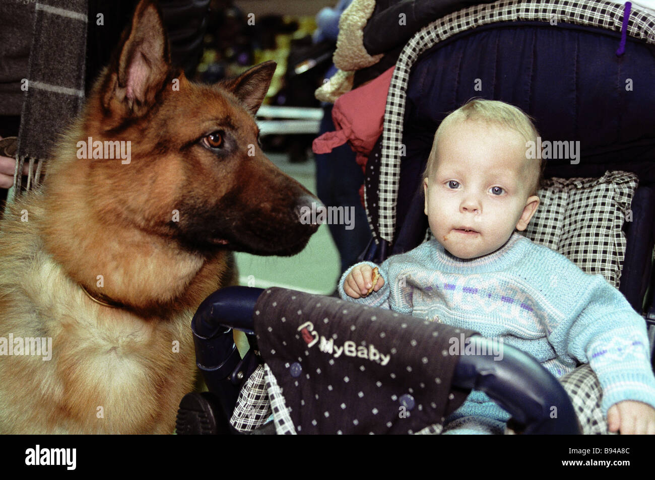 A dog guards a child in a baby carriage at the international spring ...
