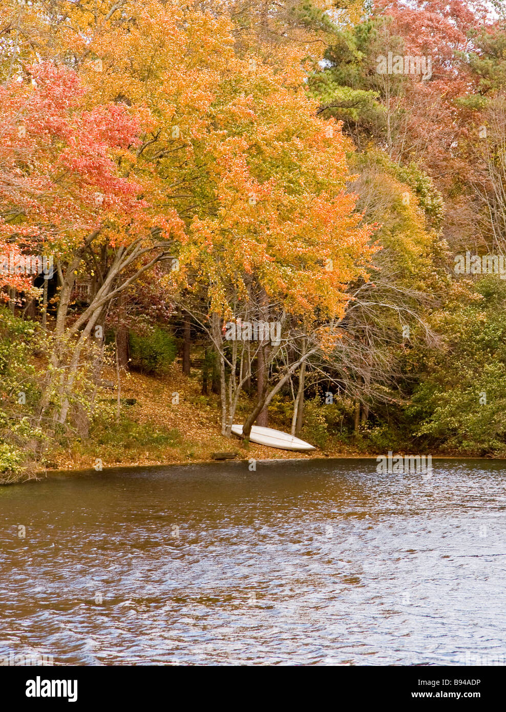 A silver canoe on the shore of a lake in the fall Stock Photo - Alamy