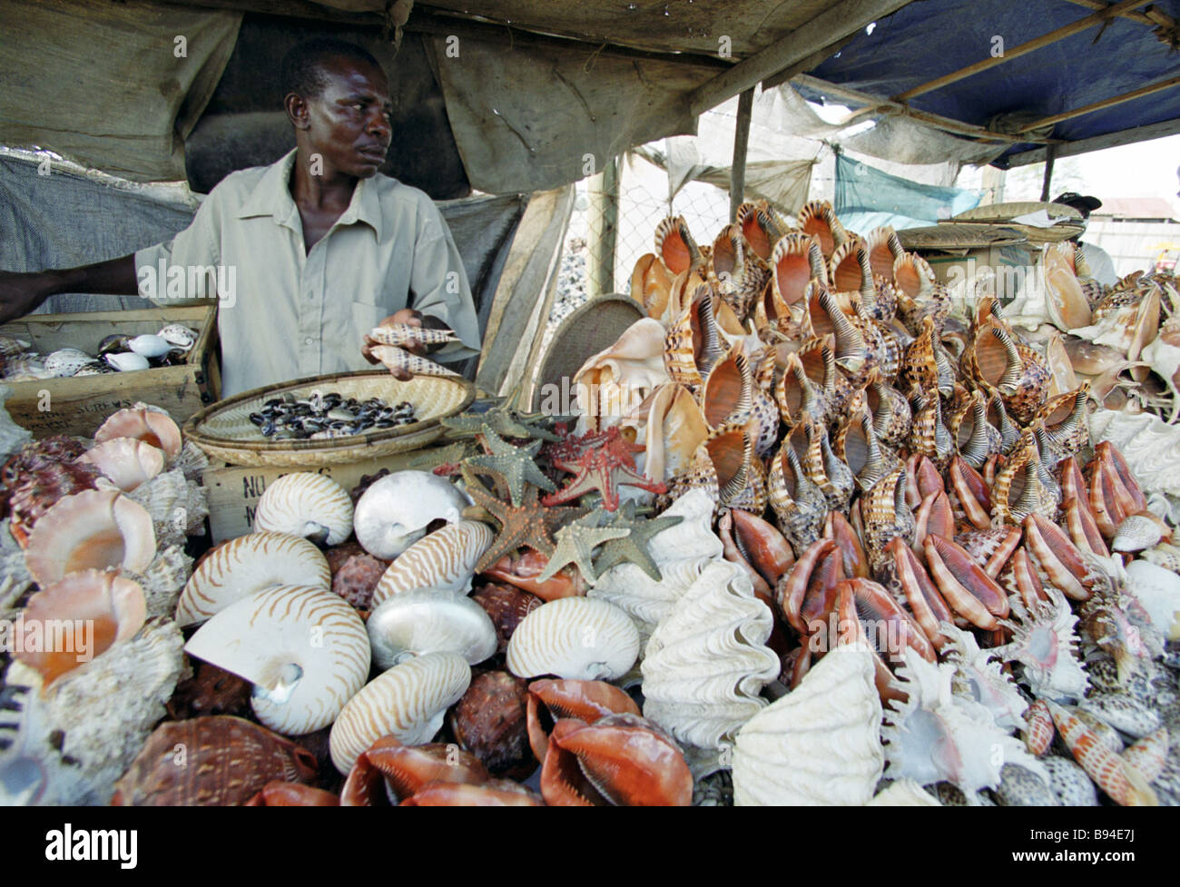 Shell salesman offering his goods Stock Photo - Alamy
