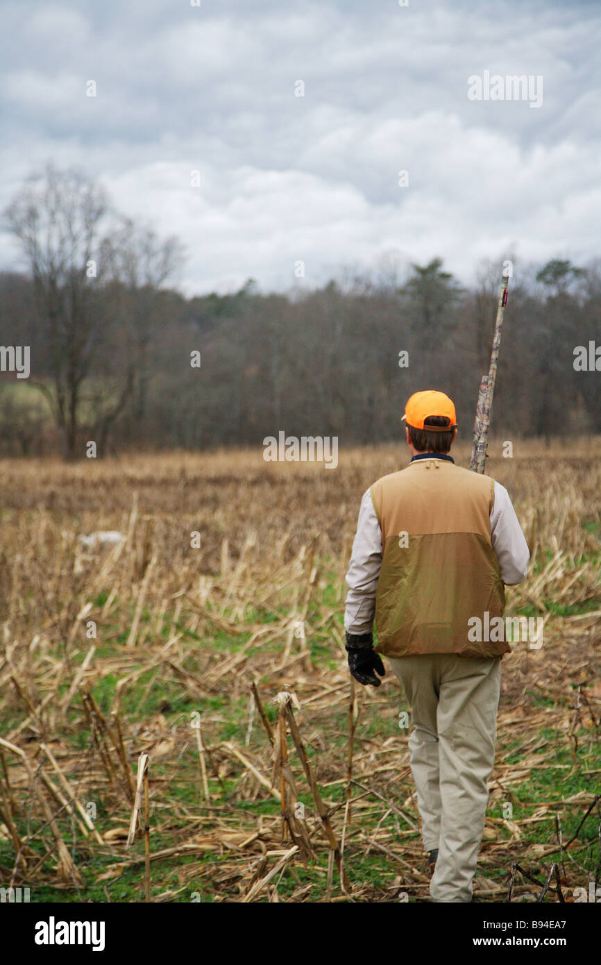 UPLAND BIRD HUNTER WALKING CORN FIELD BENLLI REALTREE AP CAMO SHOTGUN ...