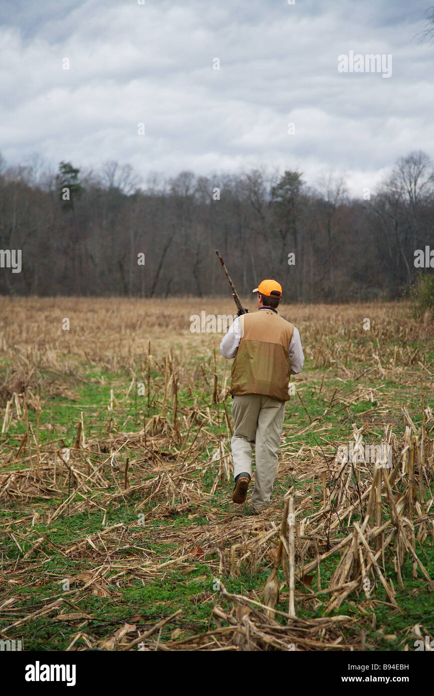 UPLAND BIRD HUNTER WALKING CORN FIELD BENLLI REALTREE AP CAMO SHOTGUN ...