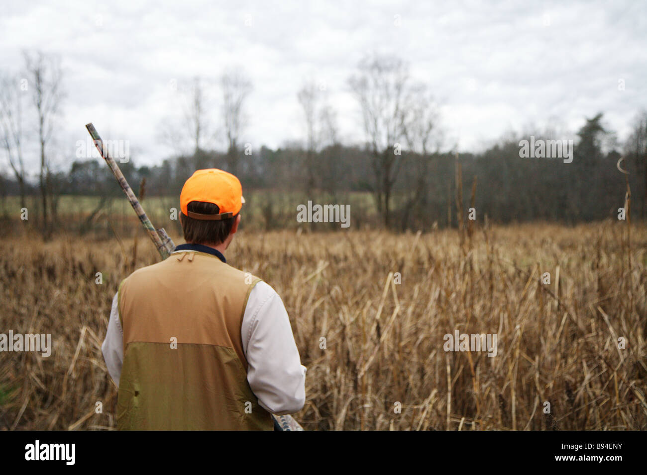 UPLAND BIRD HUNTER WALKING CORN FIELD BENLLI REALTREE AP CAMO SHOTGUN ...