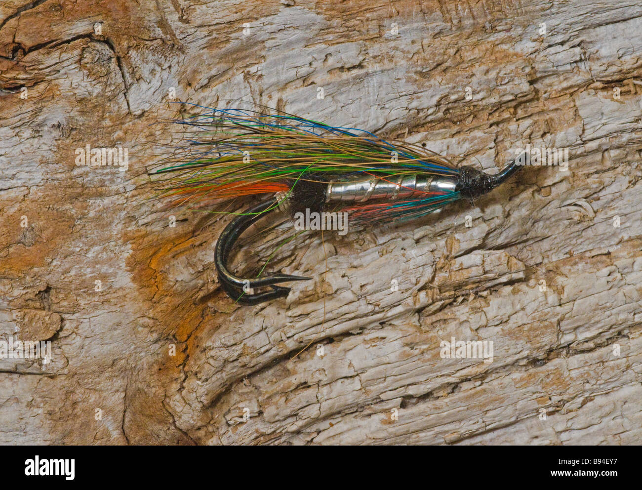 Double salmon fly hi-res stock photography and images - Alamy