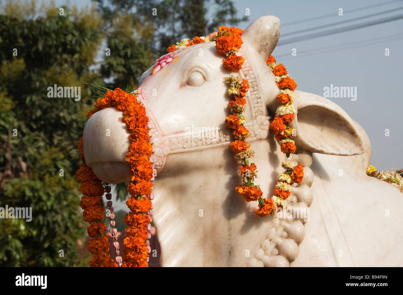 Kashi vishwanath temple and india hi-res stock photography and images ...