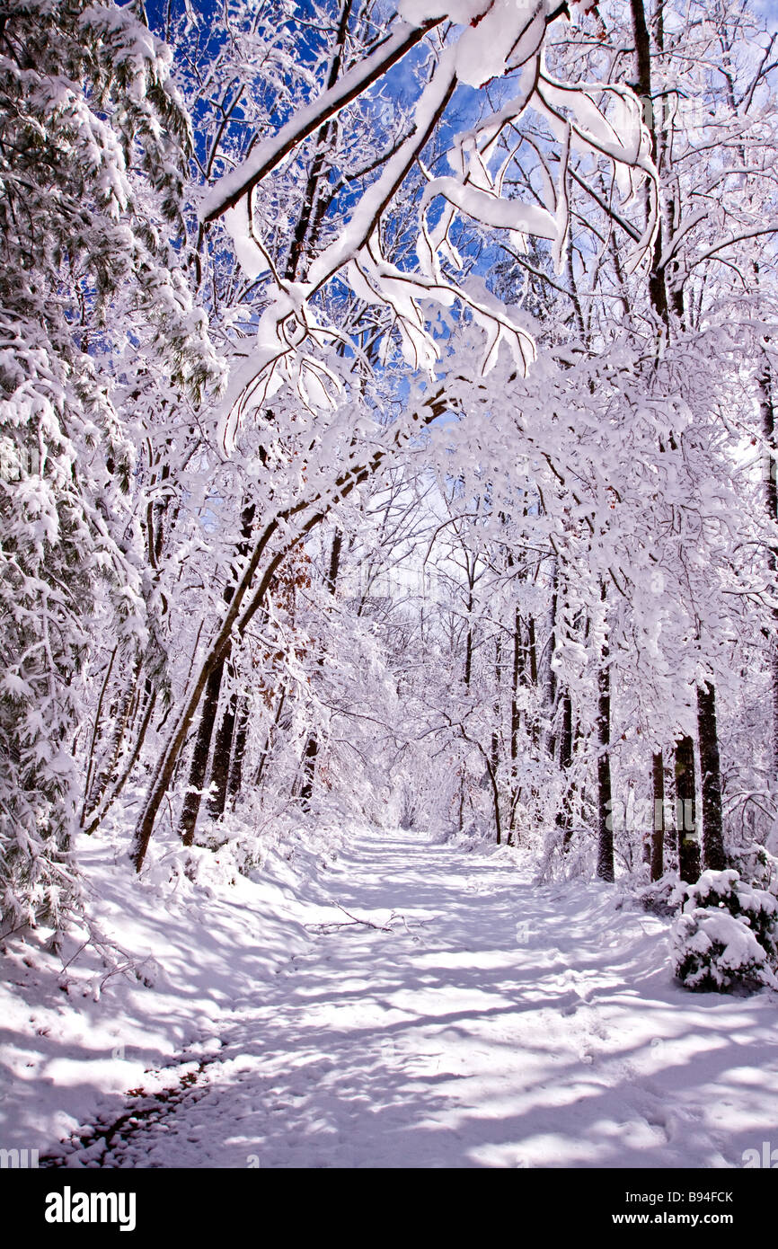 Skies winter hi-res stock photography and images - Alamy