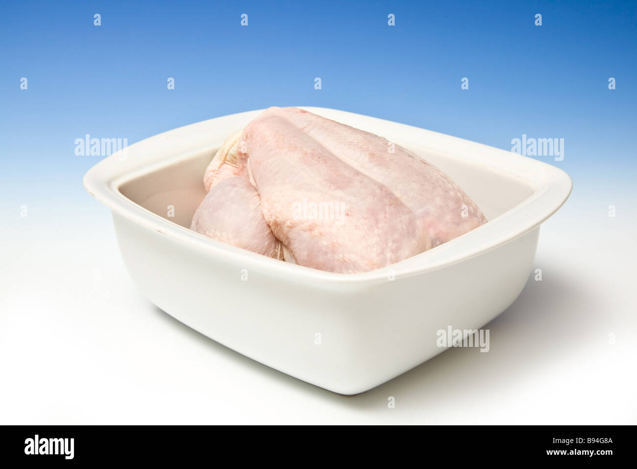 Whole uncooked chicken in a roasting dish on a blue studio background ...