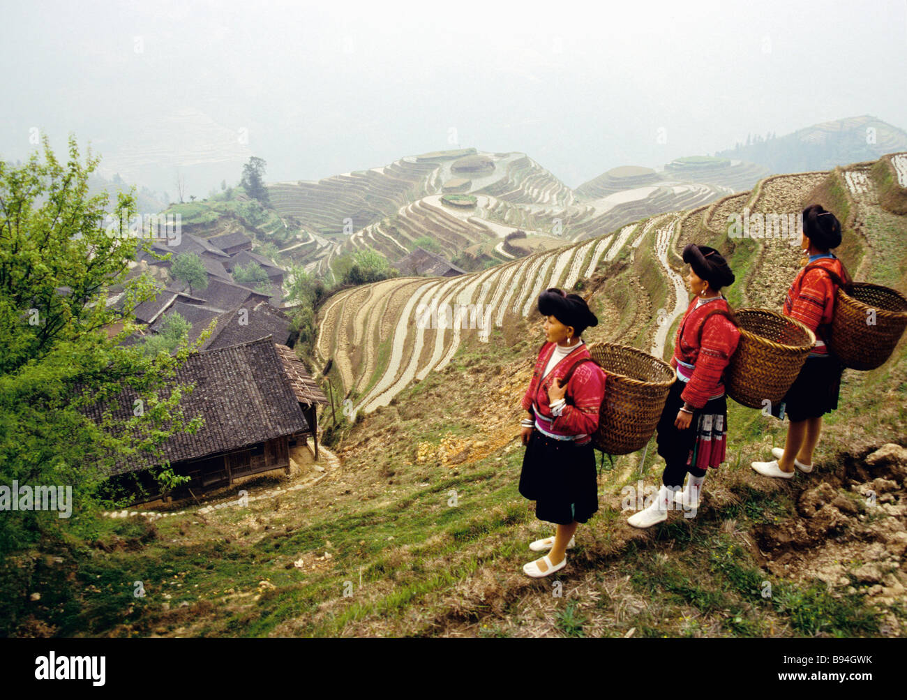 Red Yao nationality women in Longsheng County overlooking rice terraces ...