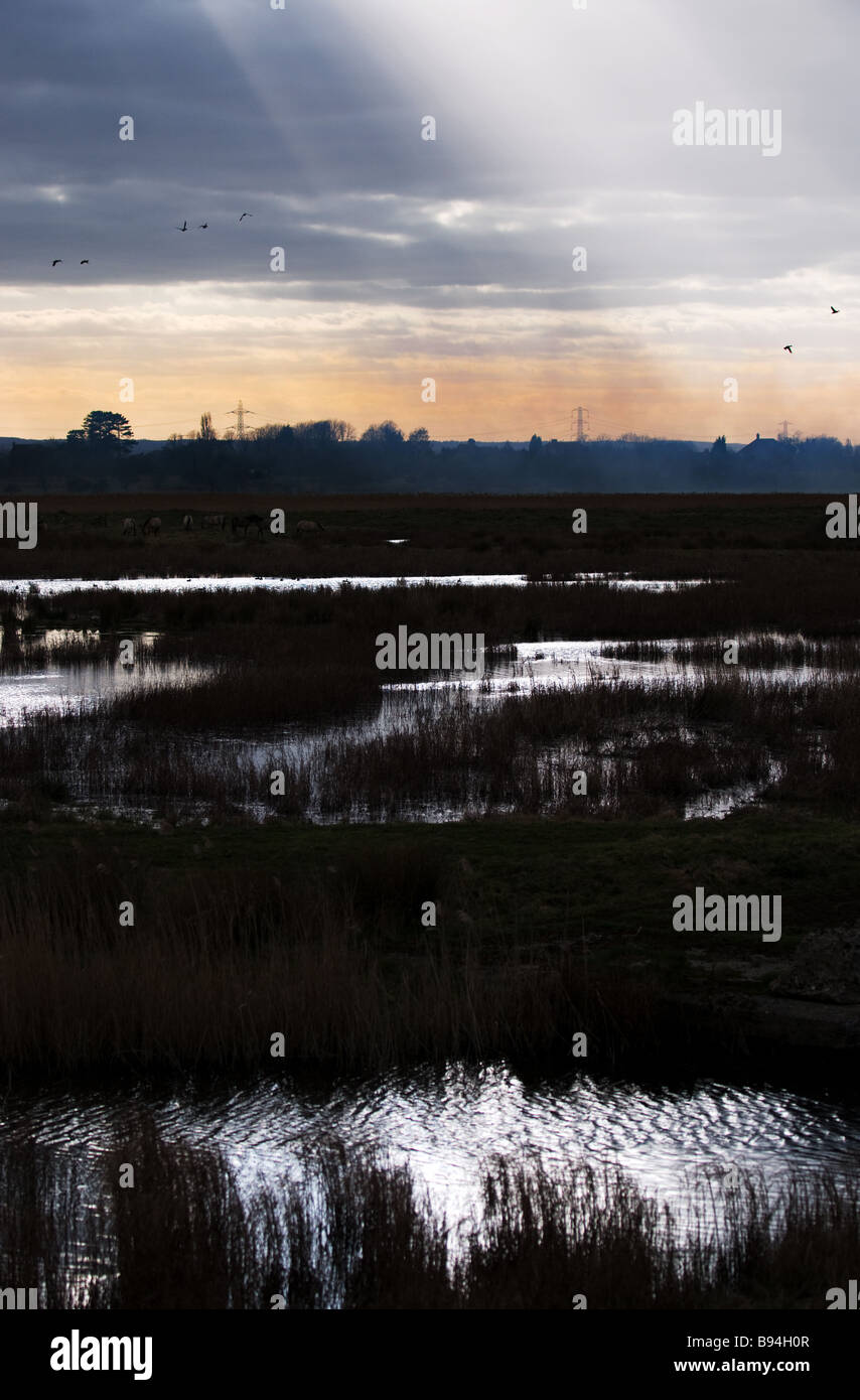 Oare Marsh in Kent Stock Photo - Alamy