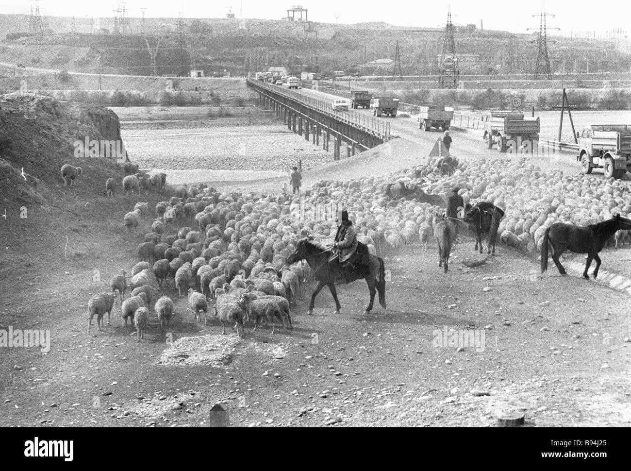 Herdsmen driving sheep from mountain pastures to valley Stock Photo - Alamy