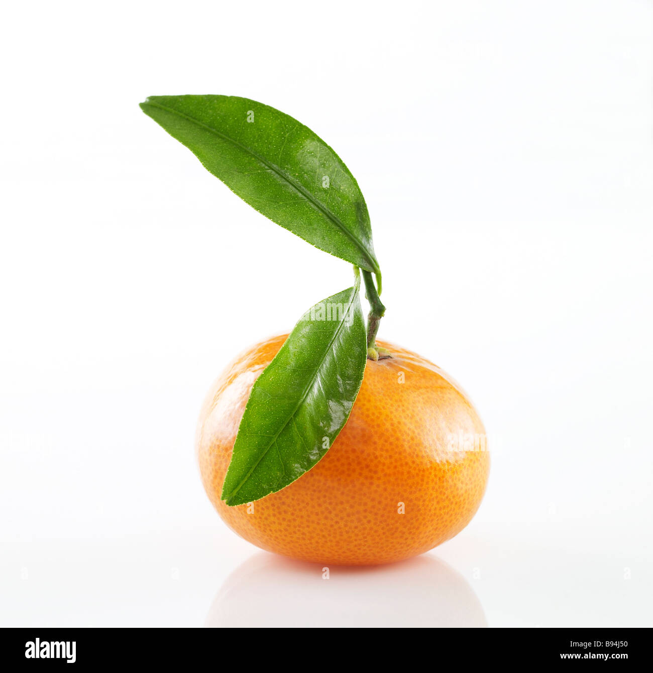 Single mandarin hi-res stock photography and images - Alamy