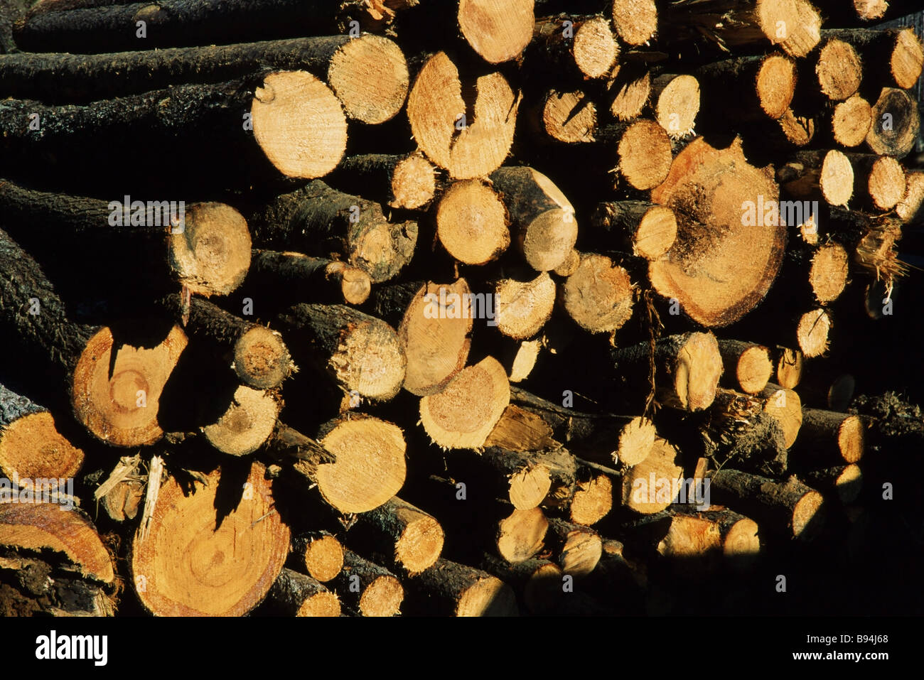 Timber clearing hi-res stock photography and images - Alamy