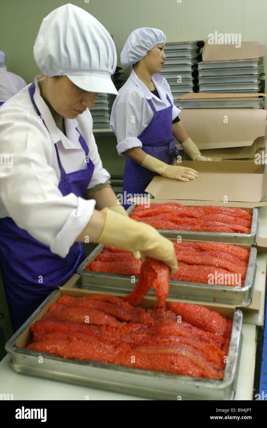 Filling salmon caviar into 7 5 kg liners at the Yasny fish processing ...