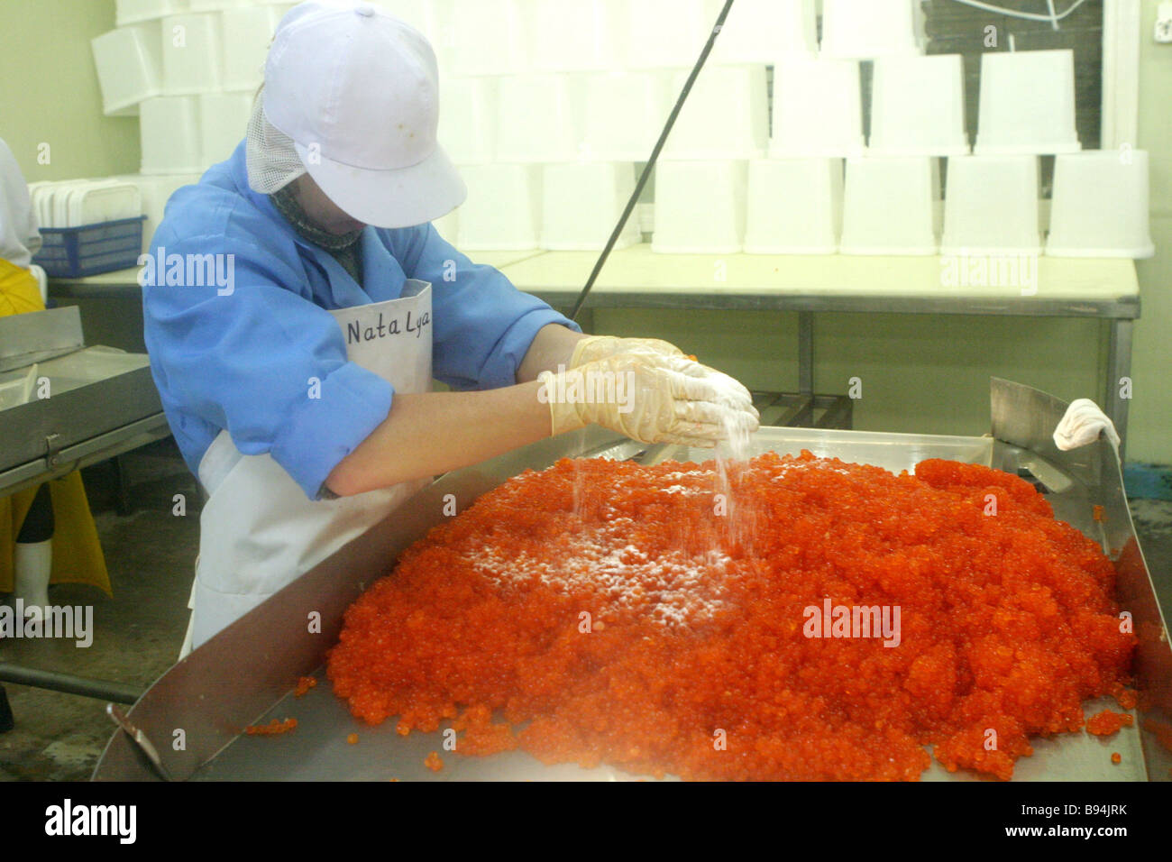Adding special preservatives into salmon caviar at the Yasny fish ...