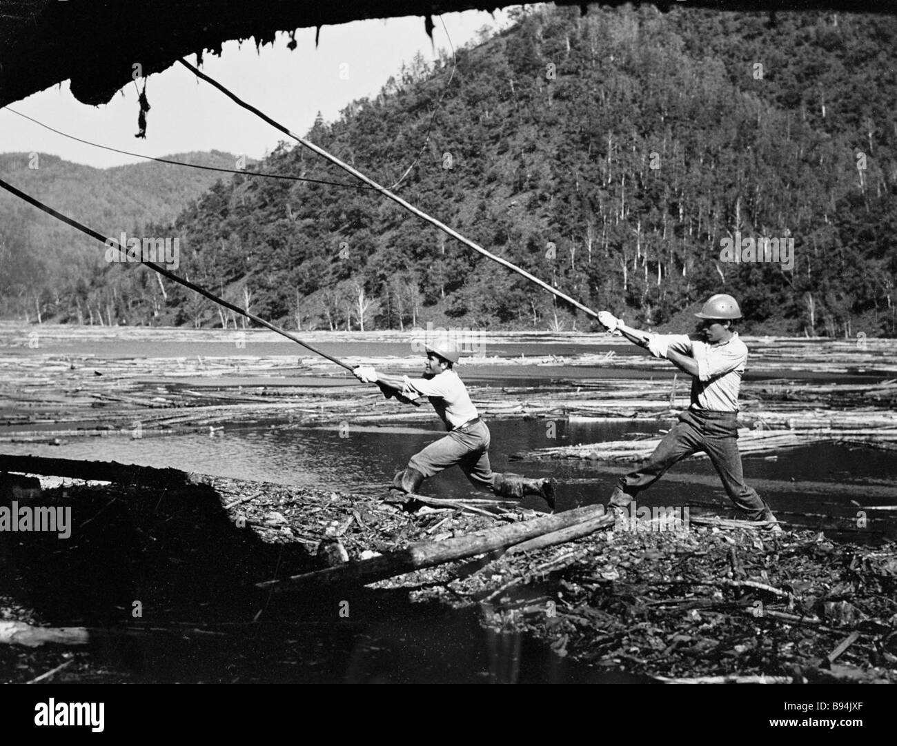 Floating timber on the Zeya River Stock Photo - Alamy