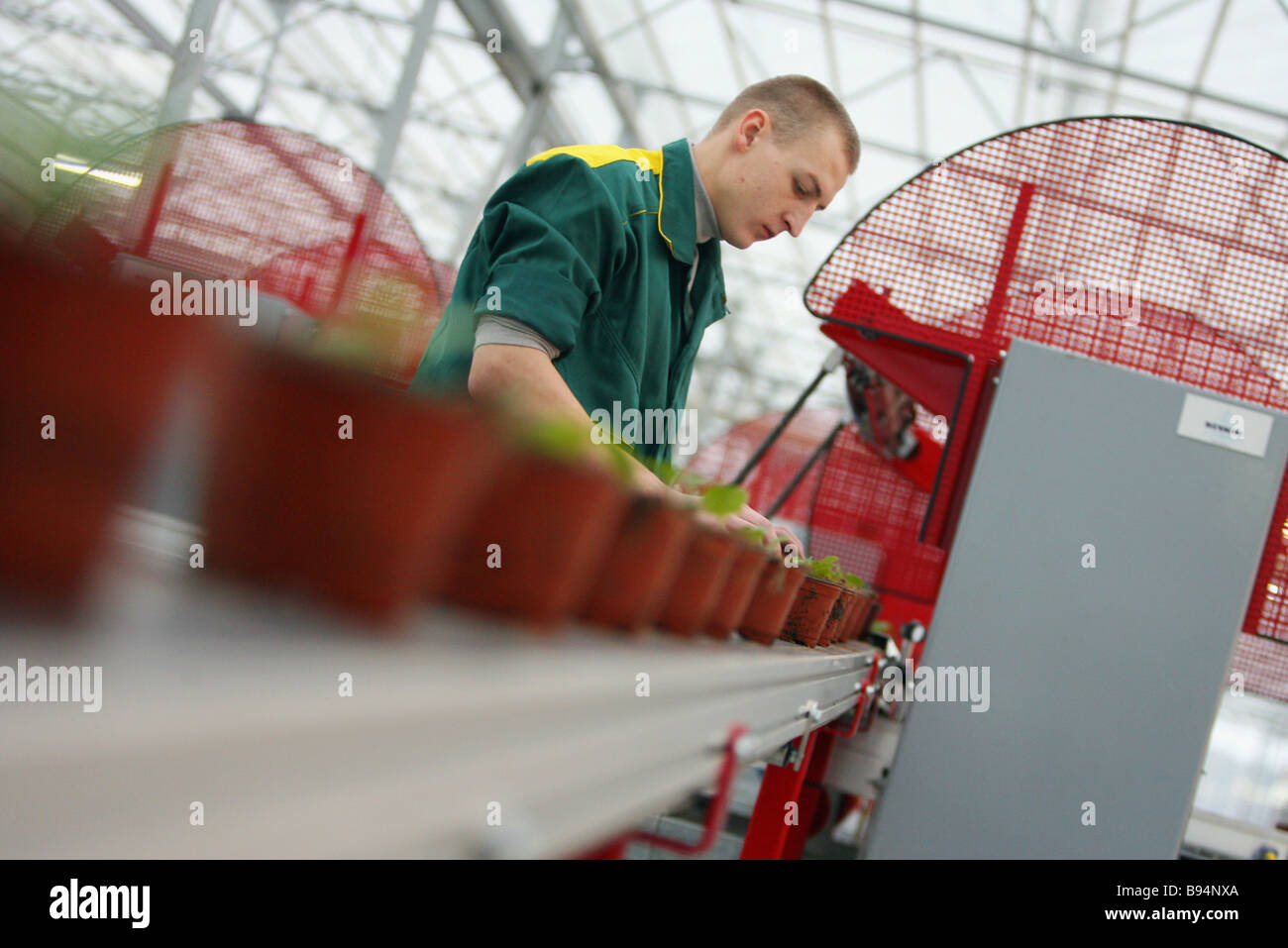 Automated pot flower production line Stock Photo - Alamy