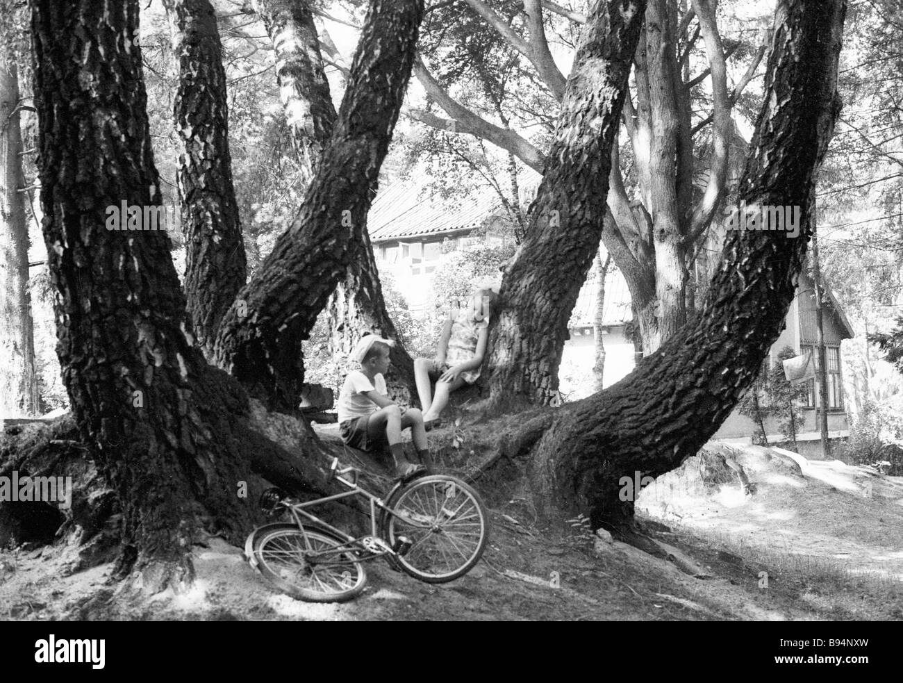 Children resting under a tree shadow Stock Photo - Alamy