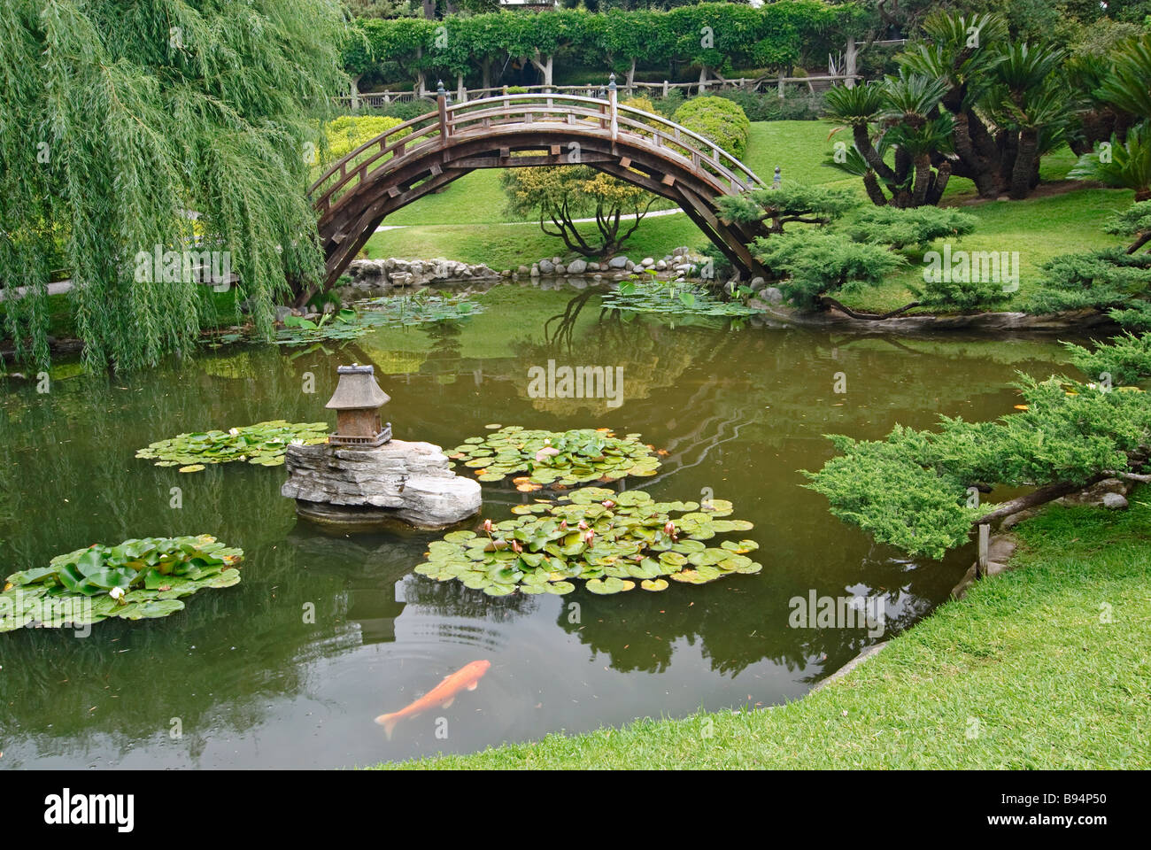 Japanese Koi Pond Bridge