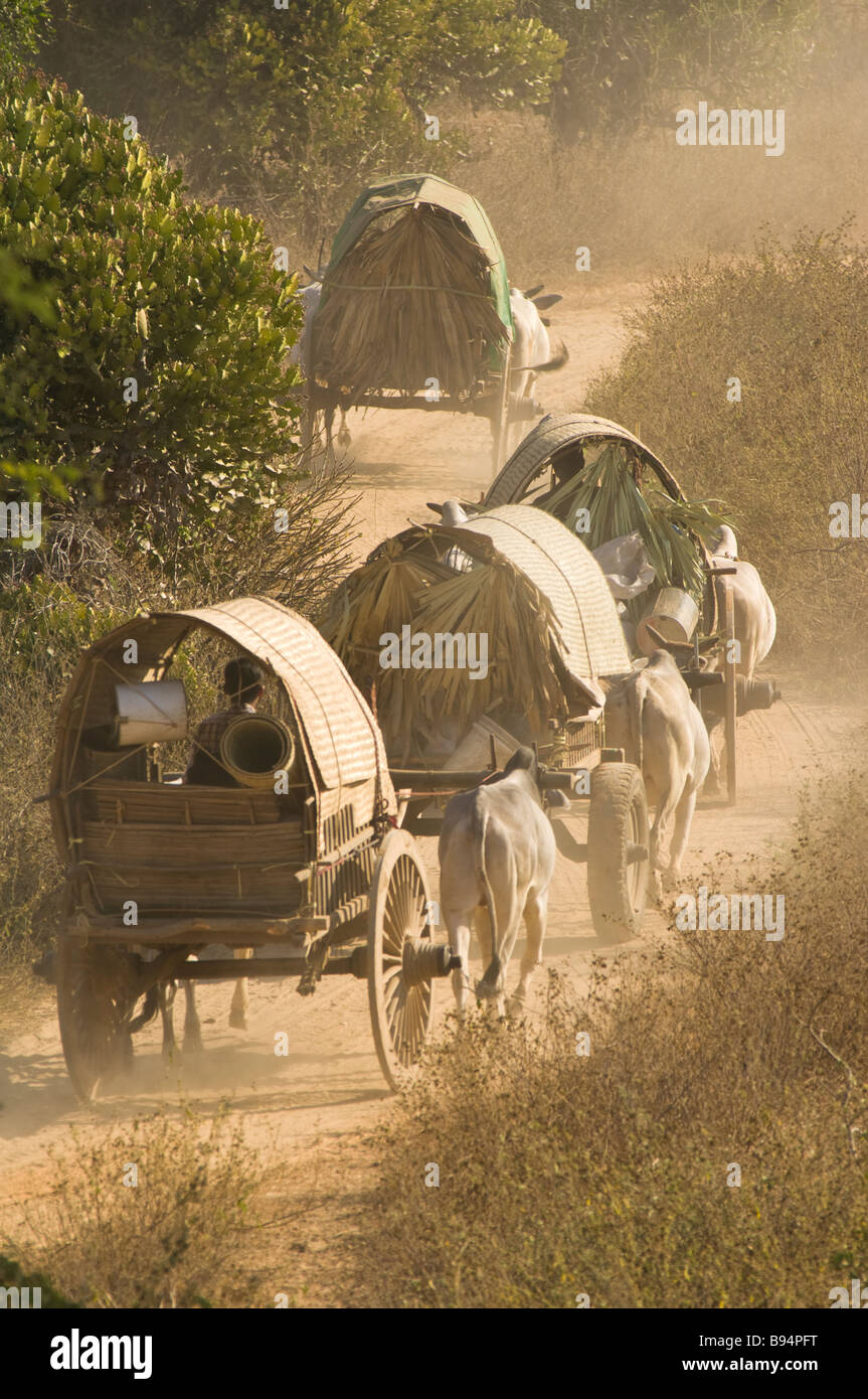 Ox carriages on a dusty road Bagan Myanmar Stock Photo - Alamy