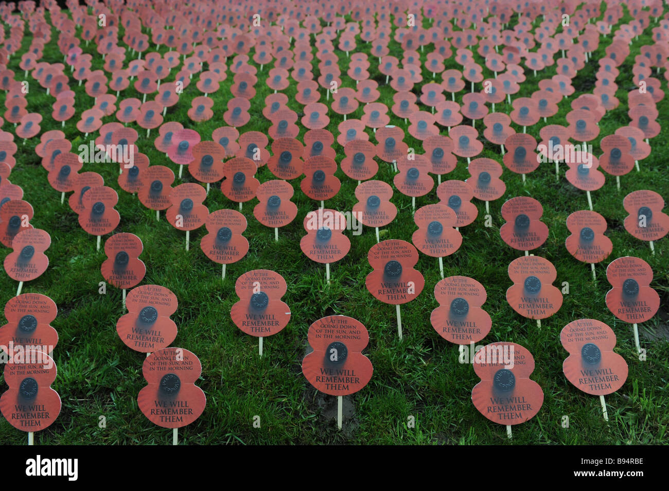 Royal british legion poppies hi-res stock photography and images - Alamy