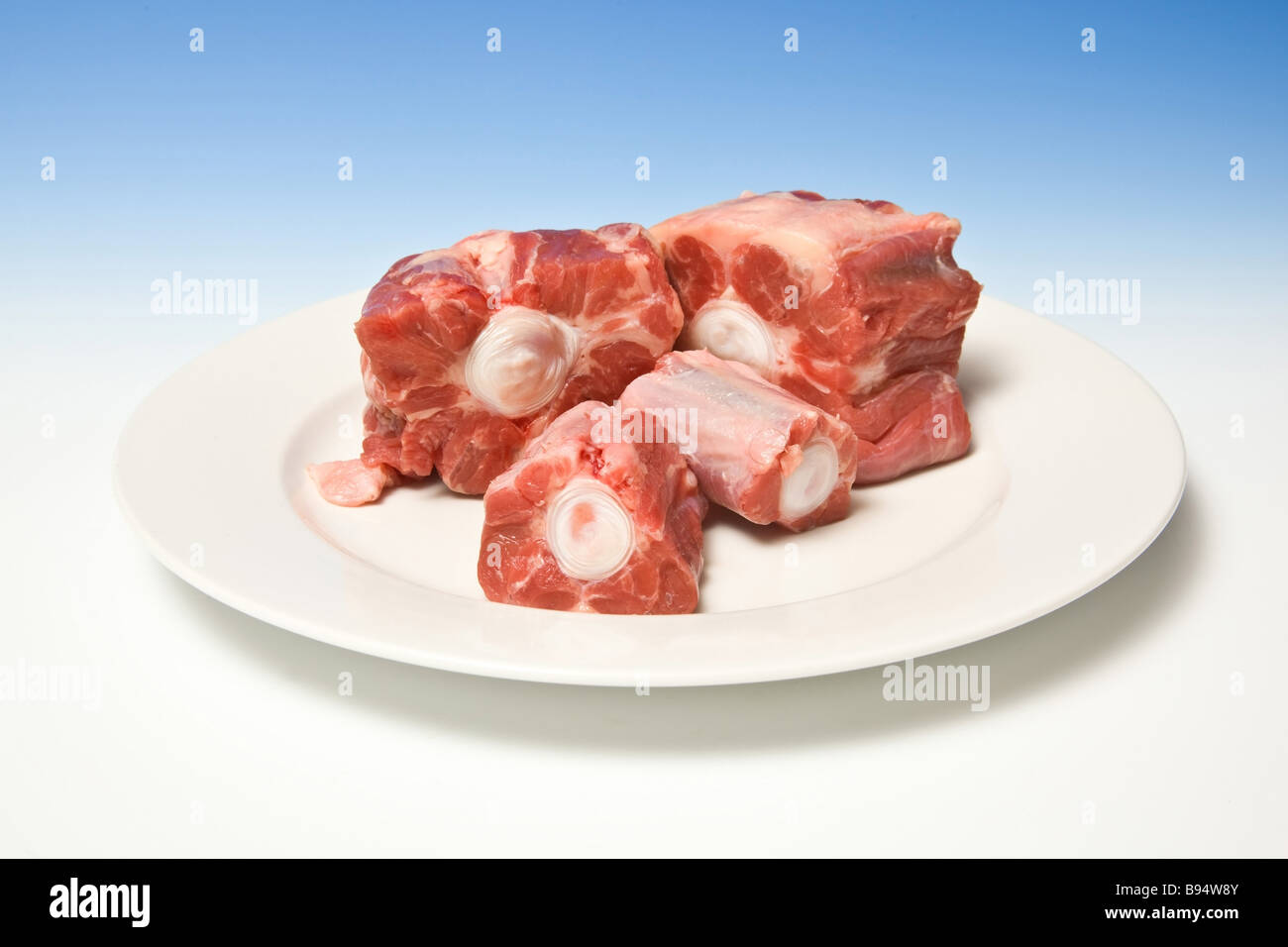 Plate of ox tail meat on a graduated blue studio background Stock Photo ...