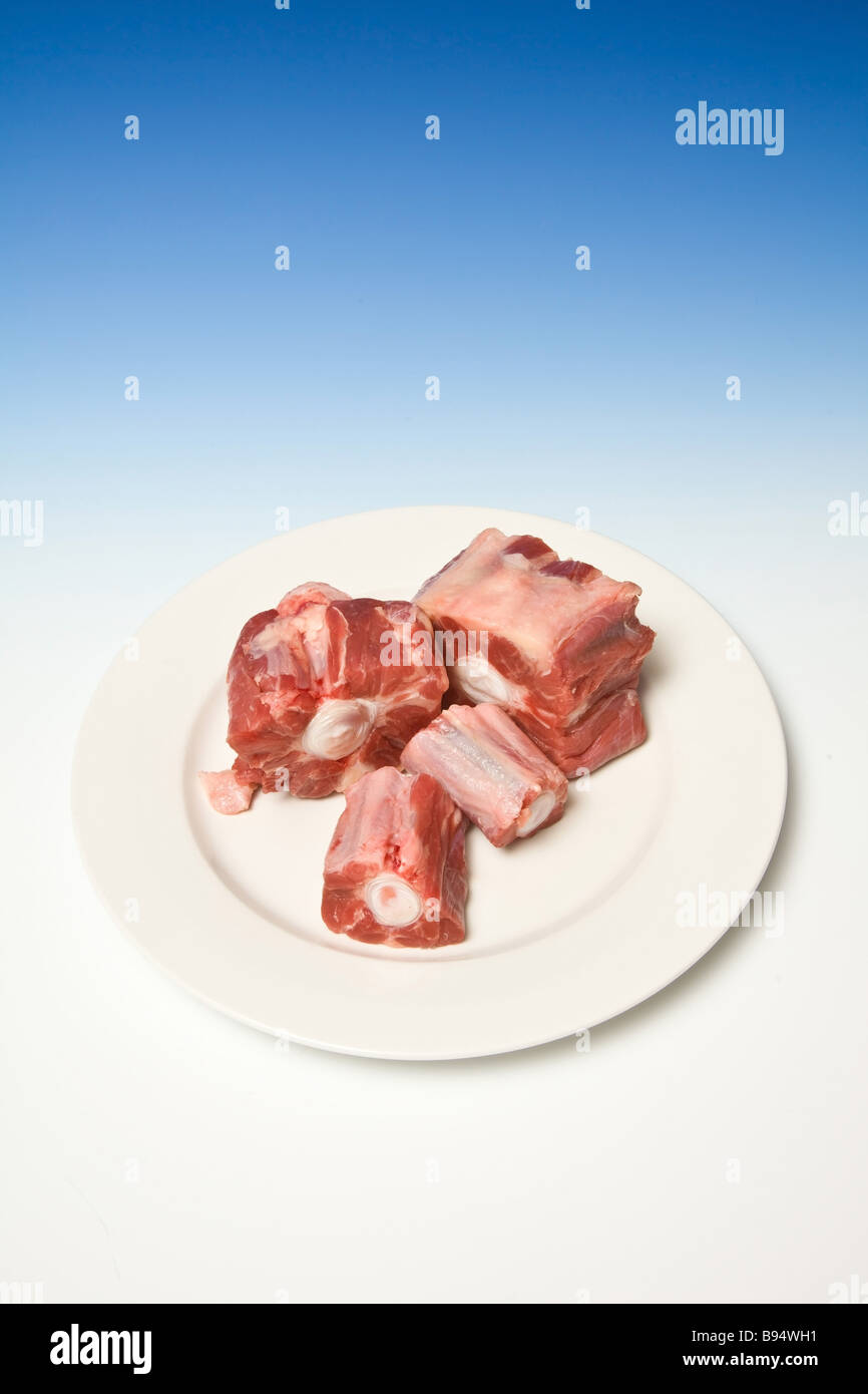 Plate of ox tail meat on a graduated blue studio background Stock Photo ...