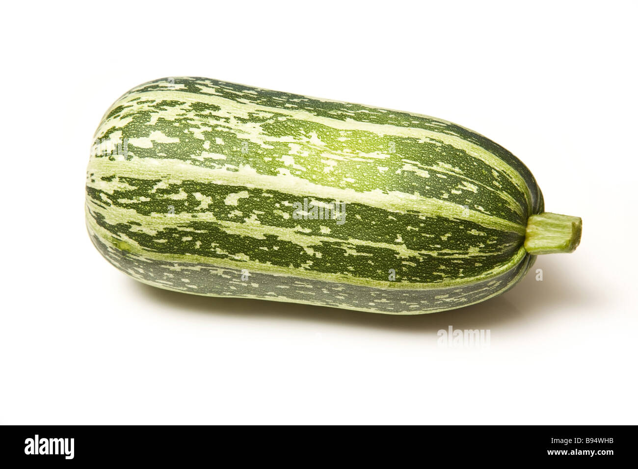 Marrow Stock Photos & Marrow Stock Images - Alamy