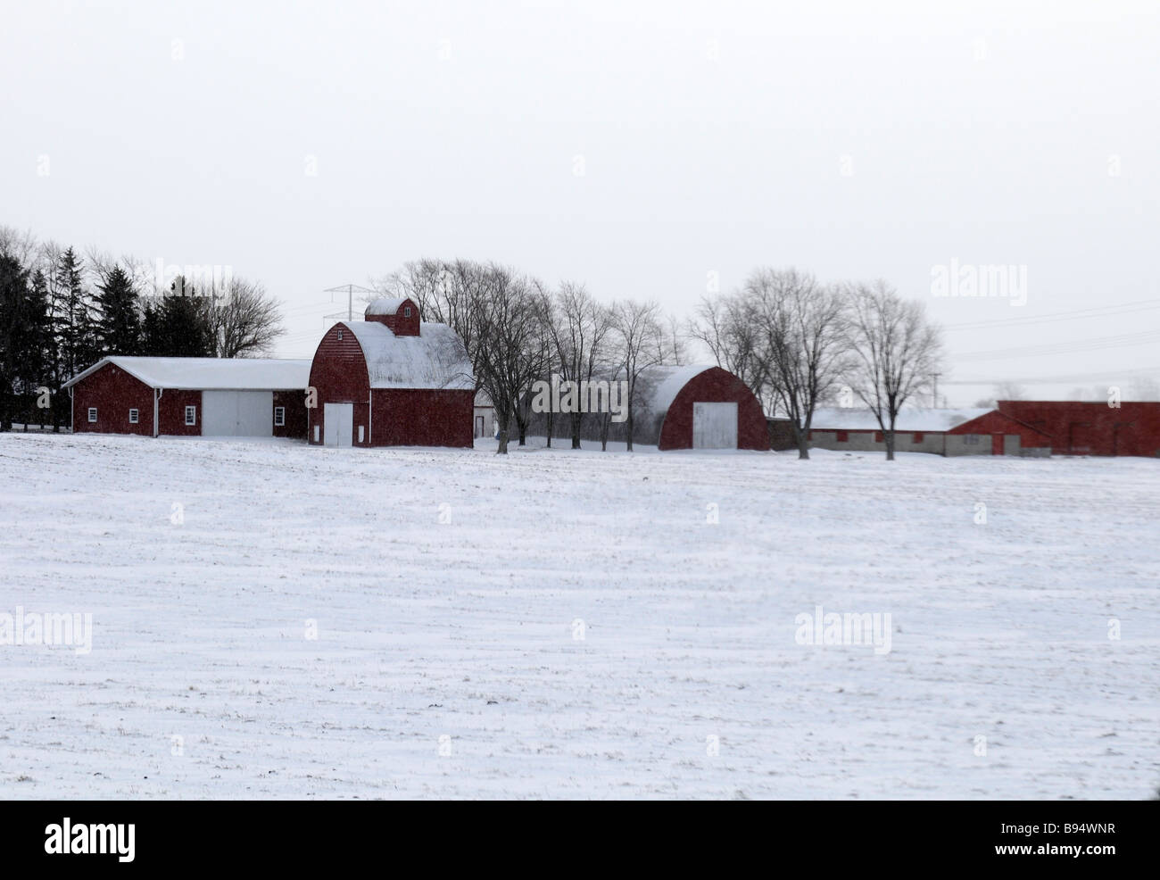 A U.S. farm in winter Stock Photo - Alamy