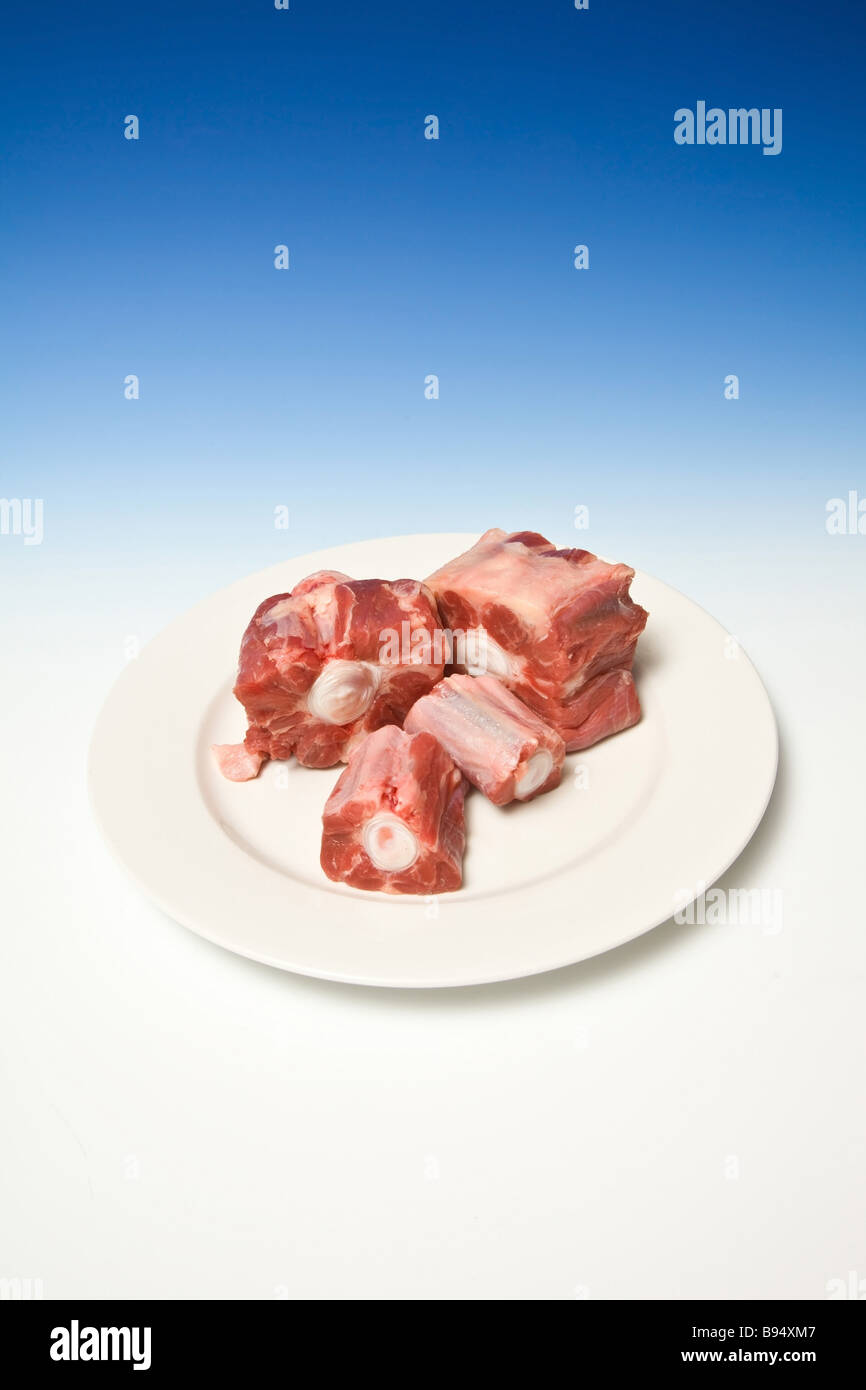 Plate of ox tail meat on a graduated blue studio background Stock Photo ...
