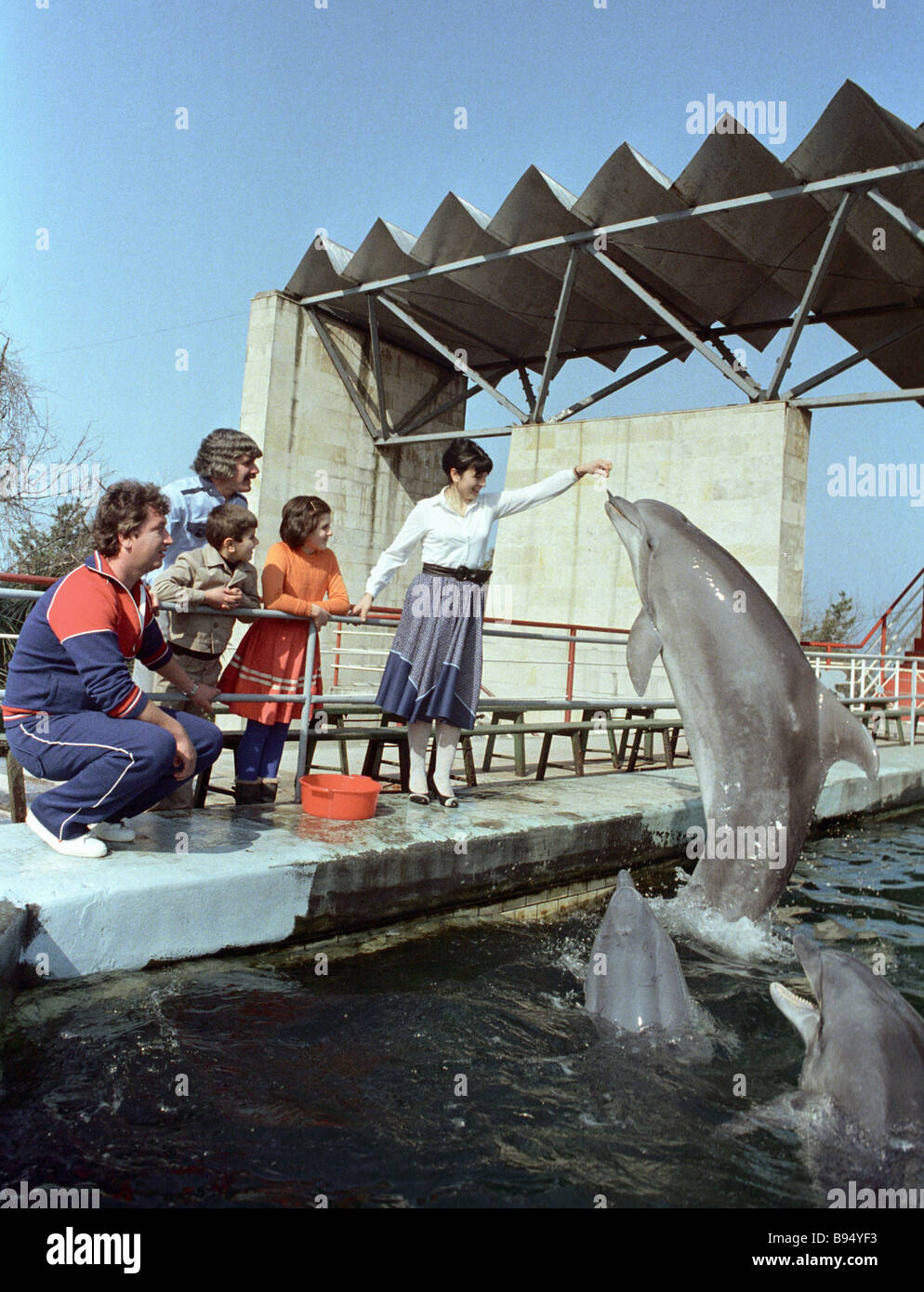 Guests to the Batumi dolphinarium playing with a dolphin Stock Photo ...