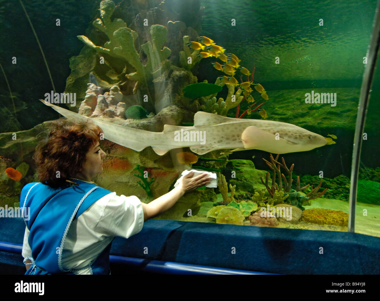 Russia s and East Europe s biggest oceanarium 4 700 square meters ...