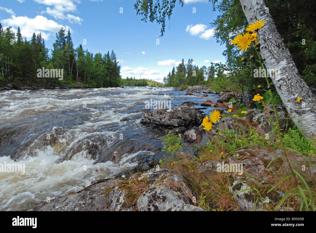 The Umba River Stock Photo - Alamy