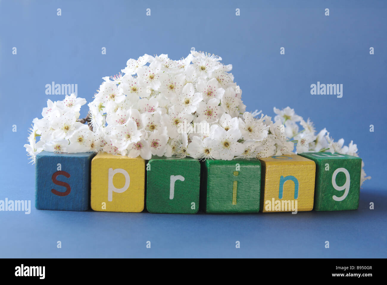 a mass of crabapple blossoms with the word 'spring' in block letters ...