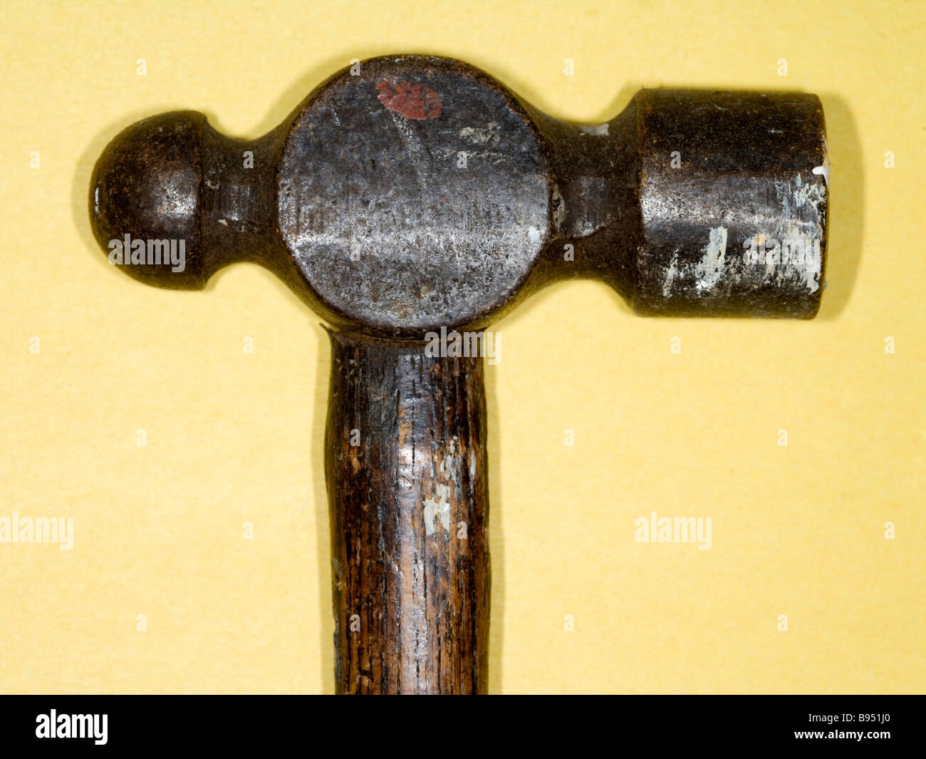 Closeup yellow hammer hi-res stock photography and images - Alamy