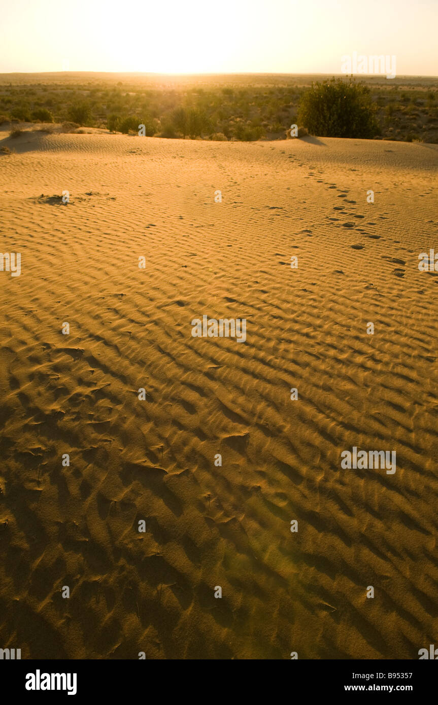 Beautiful desert sunset Stock Photo - Alamy