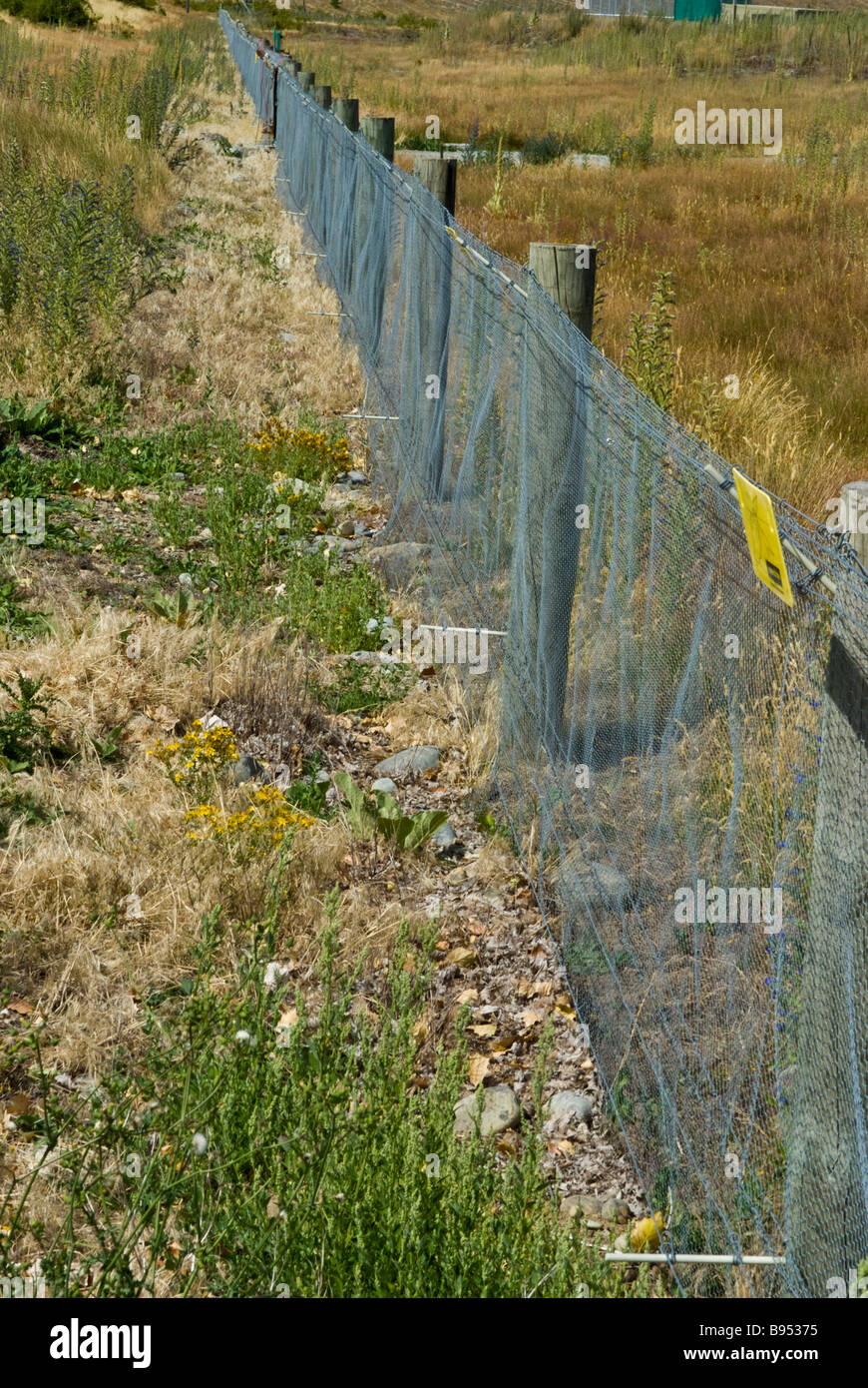 Predator proof fencing hi-res stock photography and images - Alamy