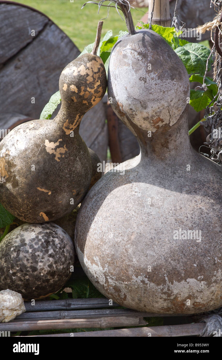 Water gourds hi-res stock photography and images - Alamy