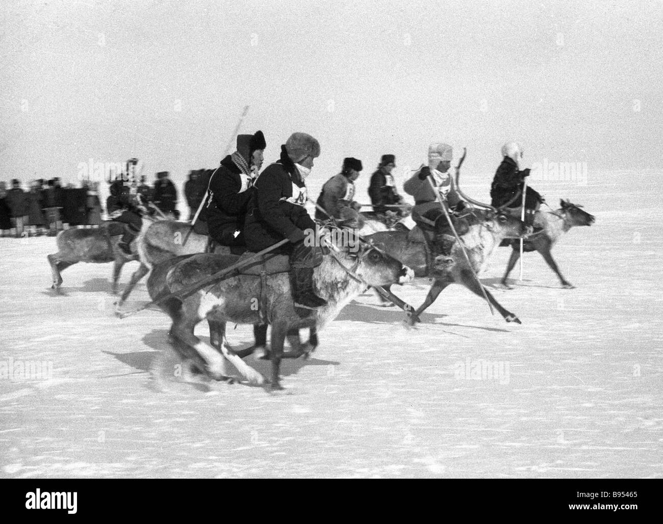 Deer race during deer breeders festivities Stock Photo - Alamy
