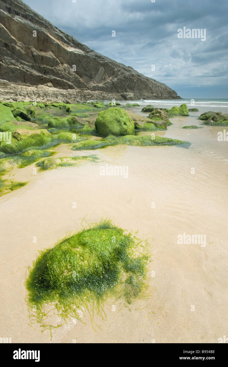 Beach of Llanes, Principado de Asturias (Spain Stock Photo - Alamy
